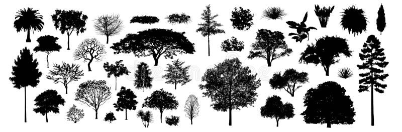 Architectural Trees In Elevation