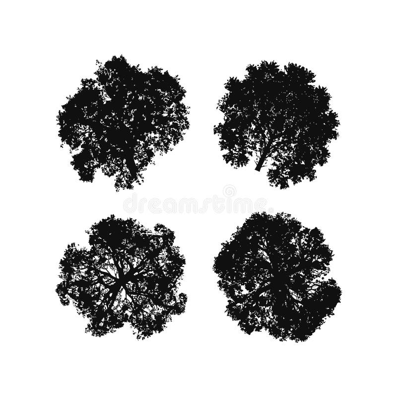 Tree Silhouettes from Top and Angled Views. Vector Illustration Design ...
