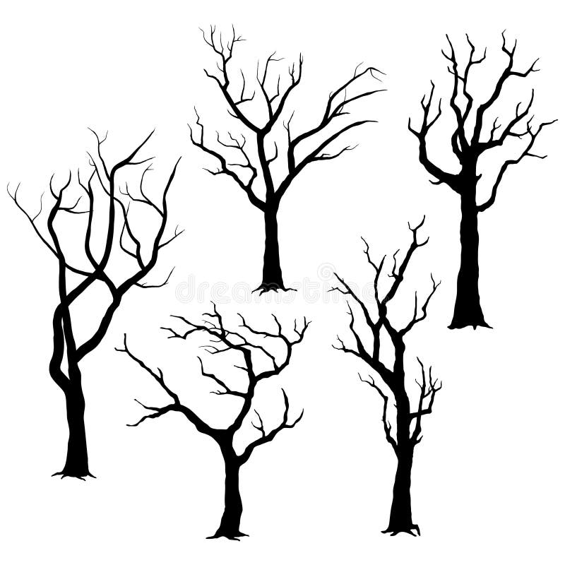 A Set of Tree Silhouettes , for Architectural or Landscape Design Stock ...