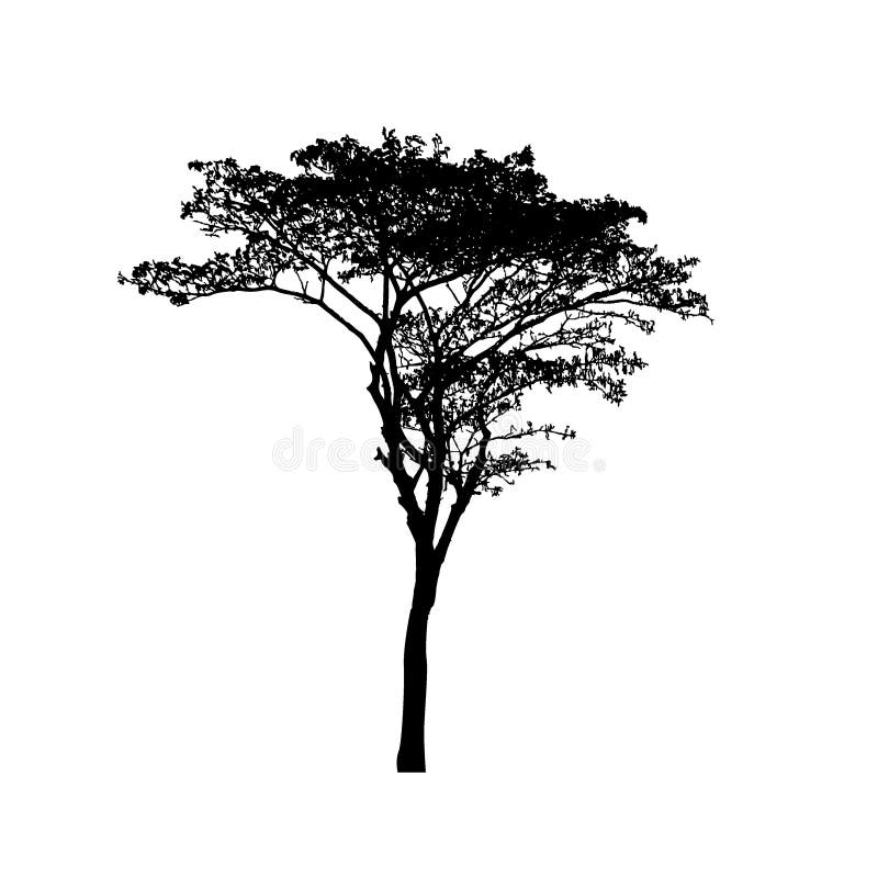 Tree Silhouettes on White Background. Vector Illustration Stock Vector ...