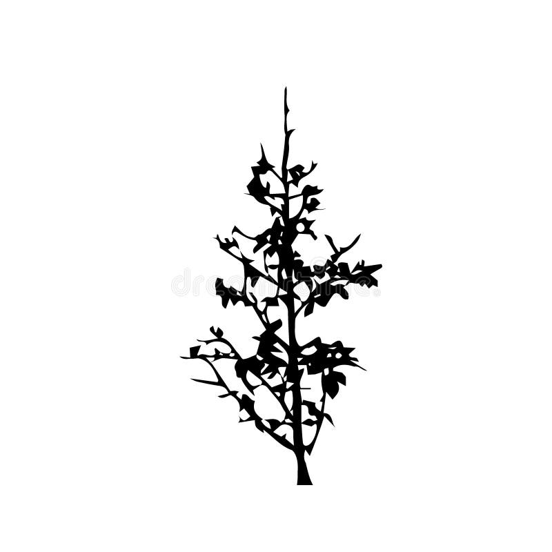 Tree Silhouettes on White Background. Vector Illustration Stock Vector ...