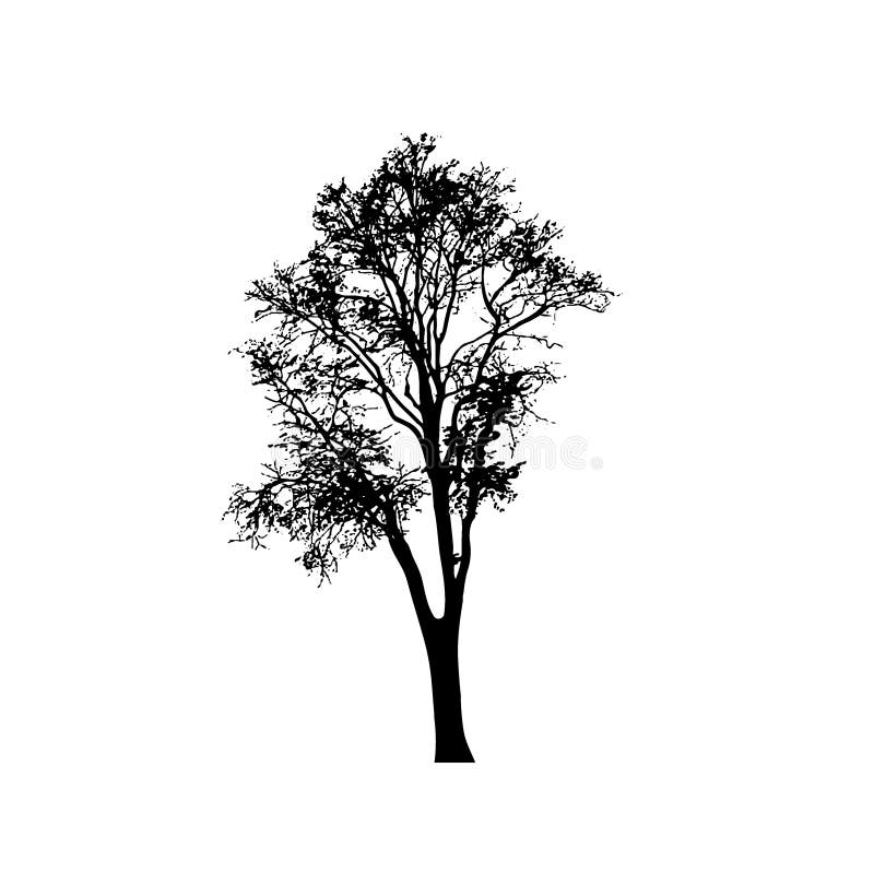 Tree Silhouettes on White Background. Vector Illustration Stock Vector ...
