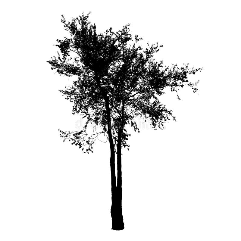 Tree silhouettes vector stock vector. Illustration of stem - 364703770