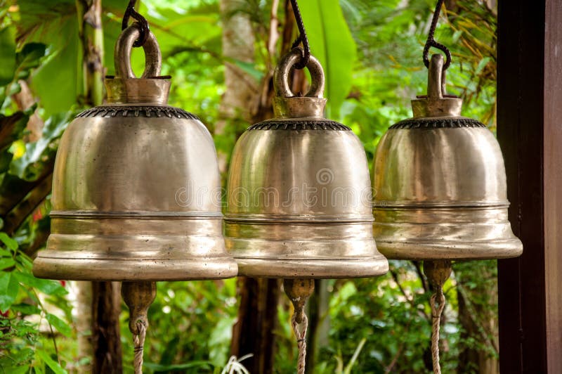 Tree silver bells stock image. Image of travel, bright - 25762807