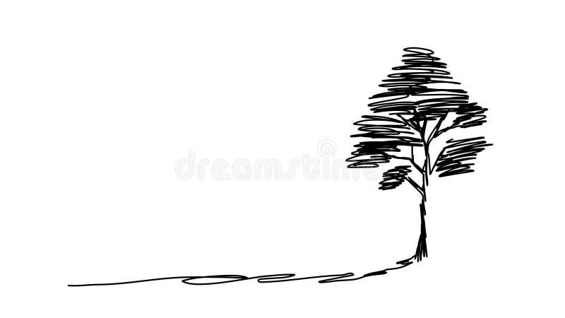 Tree Sketch, One Line Drawing Animation. Video Clip with Alpha Channel ...