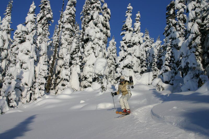 Powder Skiing stock photo. Image of beautiful, slopes - 1568906