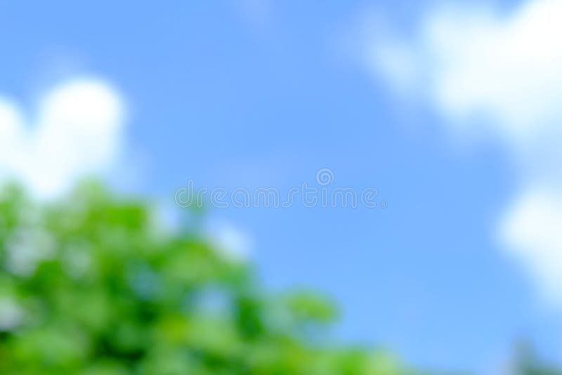 Tree and Sky Blurred Background . Stock Photo - Image of grass, white ...