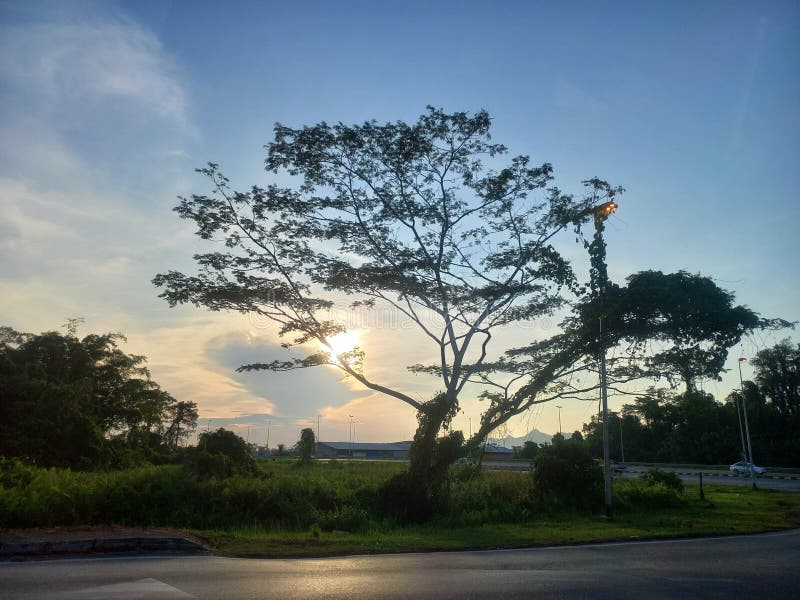 Tree Sky Calm Sunset Road Shadow Blue Sun Stock Image - Image of road ...