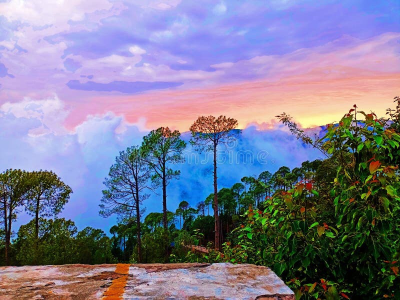 Tree Sky Natural Beauty Sunrise Smog Stock Photo - Image of tree, smog ...