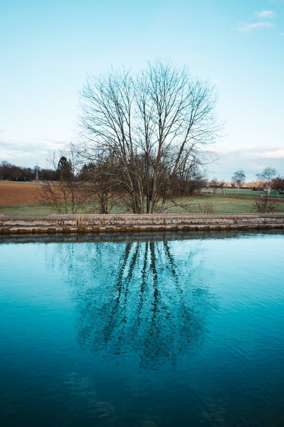 Tree and Sky Reflection in Water Stock Photo - Image of sunrise ...