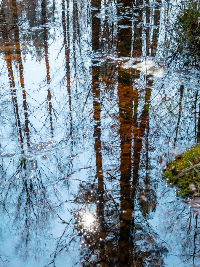 Tree and Sky Reflections in Water, Fuzzy Texture, Wallpaper Stock Photo ...