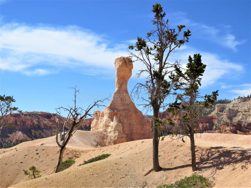 Tree, Sky, Rock, Woody Plant Stock Image - Image of rock, tourism ...