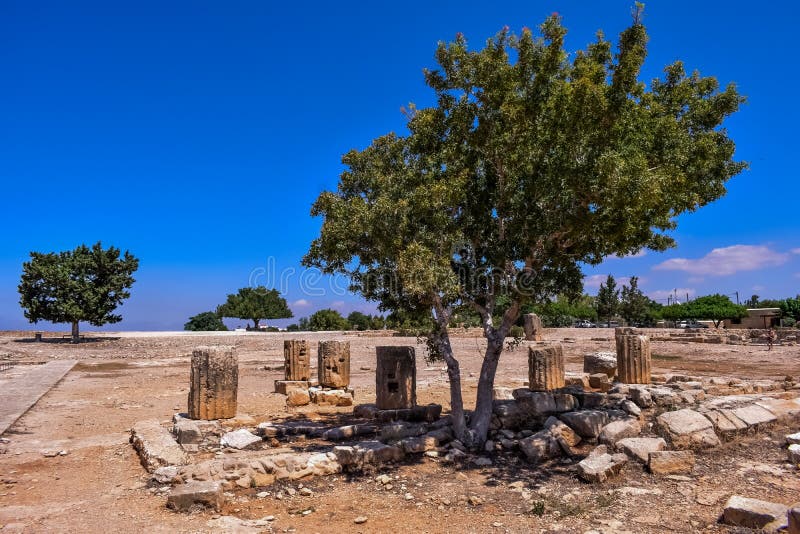 Tree, Sky, Ruins, Plant stock photo. Image of ruins - 134859934