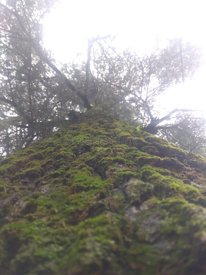 Enduring stock image. Image of canon, sand, horizon, atmosphere - 22394619