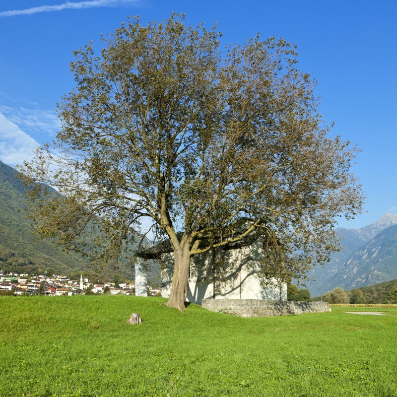Tree and small church stock photo. Image of beautiful - 26960068