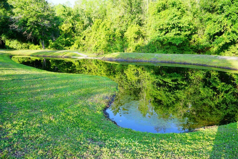Mirror reflection pond stock image. Image of foliage - 114441749