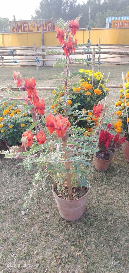 157 Tob Stock Photos - Free & Royalty-Free Stock Photos from Dreamstime