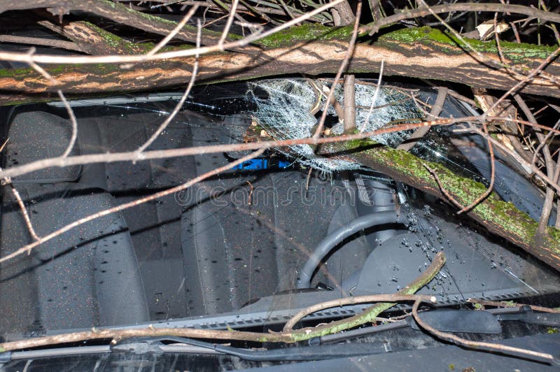The Tree Smashed the Car`s Windshield Stock Photo - Image of branch ...