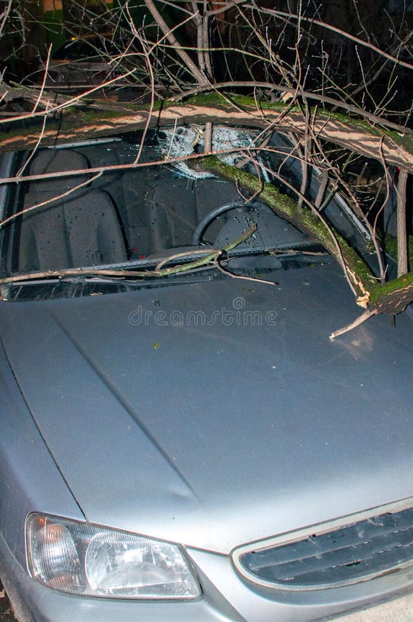 The Tree Smashed the Car Windscreen Stock Image - Image of damaged ...