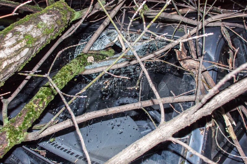 The Tree Smashed the Windshield Stock Image - Image of shatter, glass ...