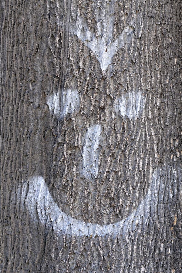 Tree with smiling stock photo. Image of paint, bark, brown - 27949562