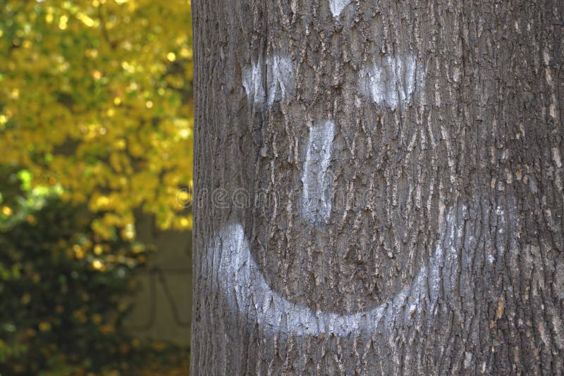 Tree with smiling stock image. Image of smiley, trunk - 27949739