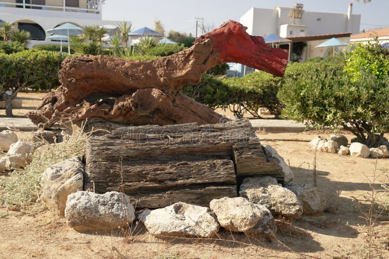 Wood Snags in the Landscape Design of the Park Stock Photo - Image of ...