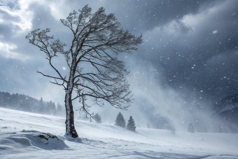 Tree in Snow Blizzard stock illustration. Illustration of blizzard ...