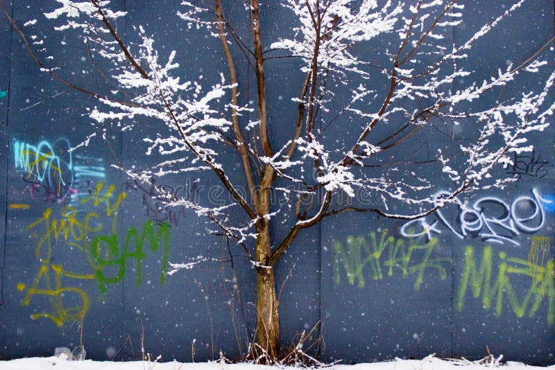 Graffiti Snowflake Stock Photos - Free & Royalty-Free Stock Photos from ...