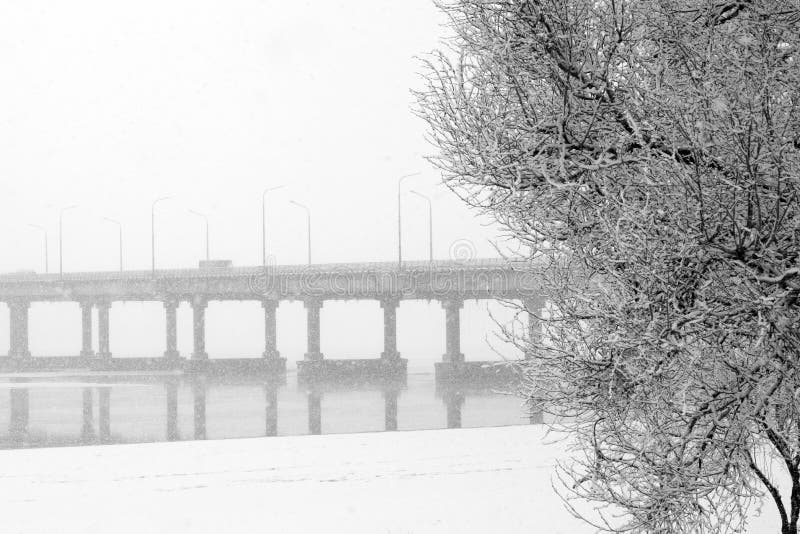 A Tree in the Snow and a Bridge Across the River during a Heavy Snow ...