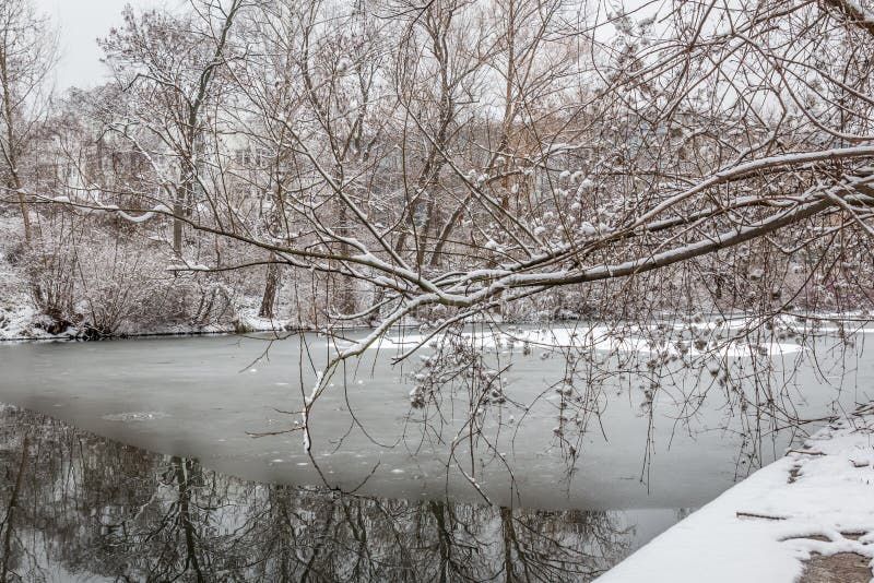 Tree with Snow by a Frozen River Stock Image - Image of bush, frosted ...