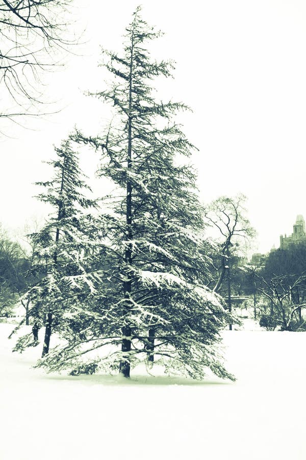 Tree and Snow in the Park in Light Vintage Style Stock Photo - Image of ...