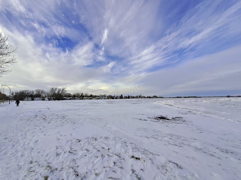 Tree in the Snow , View from Manitoba . Winter Landscape with Snow ...