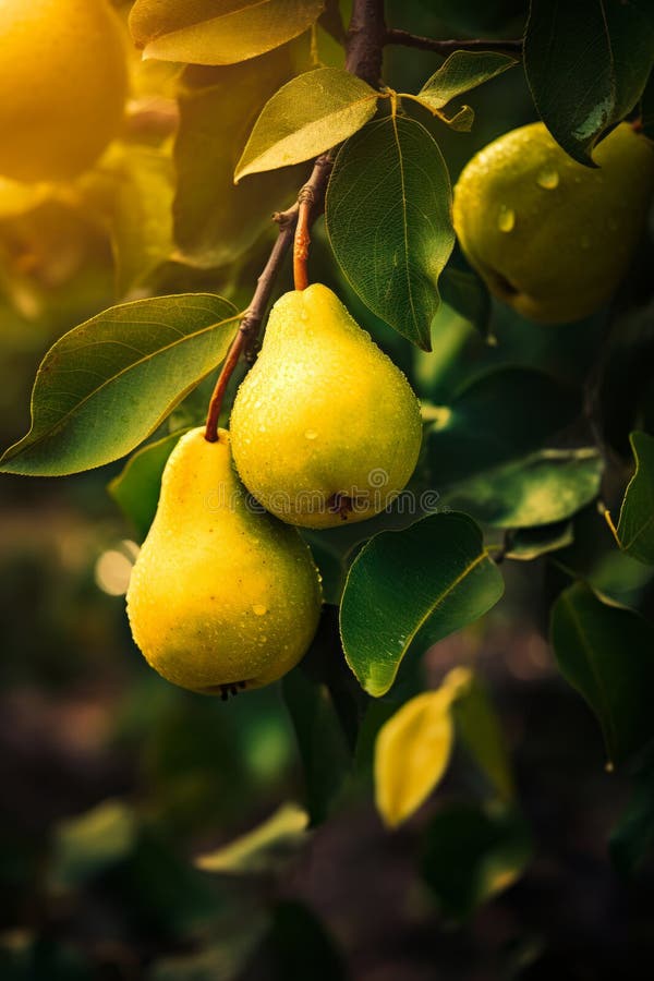 Tree with Some Green Pears Hanging from it S Branches. Generative AI ...