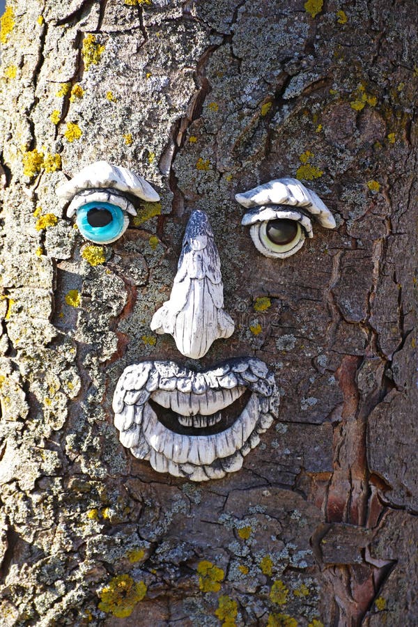 Beautiful Tree Spirit on a Tree Trunk Stock Image - Image of ...