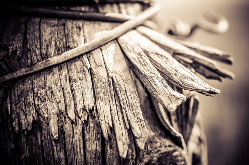 Tree splinter details stock image. Image of details, wooden - 84003933