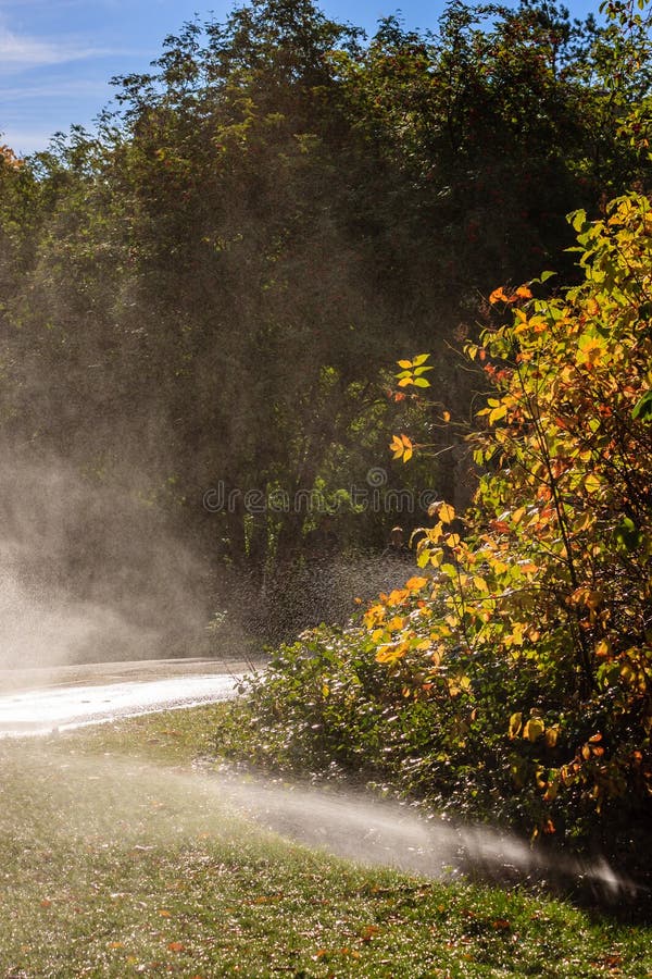 A Tree is Spraying Water on the Ground Stock Image - Image of bright ...