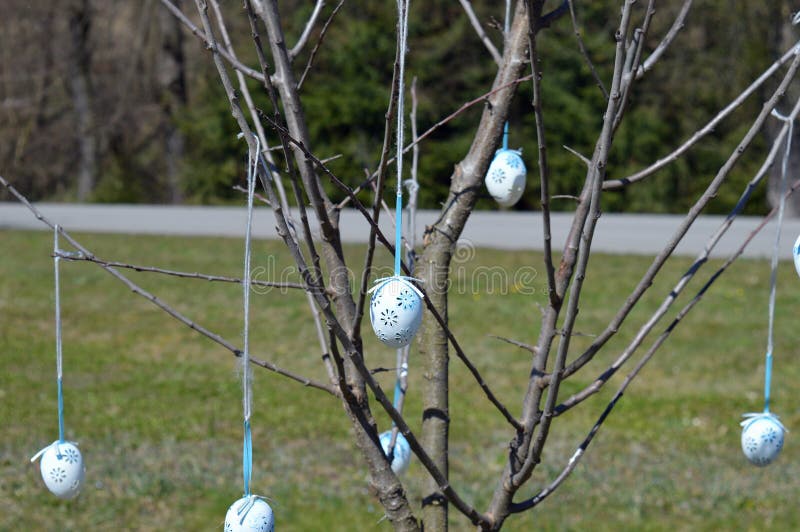 Tree Spring Easter Eggs Life Stock Image - Image of young, lese: 178302269