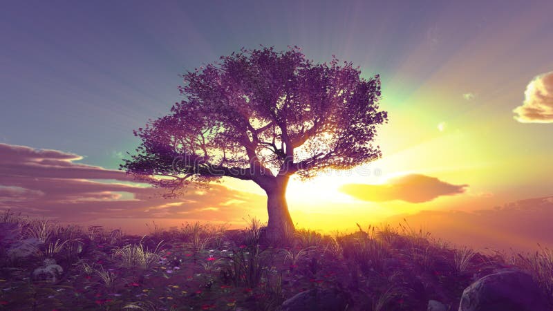 Tree Spring in Meadow Sunset Stock Illustration - Illustration of ...