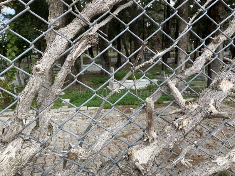 9,788 Link Photo Dowload Stock Photos - Free & Royalty-Free Stock ...