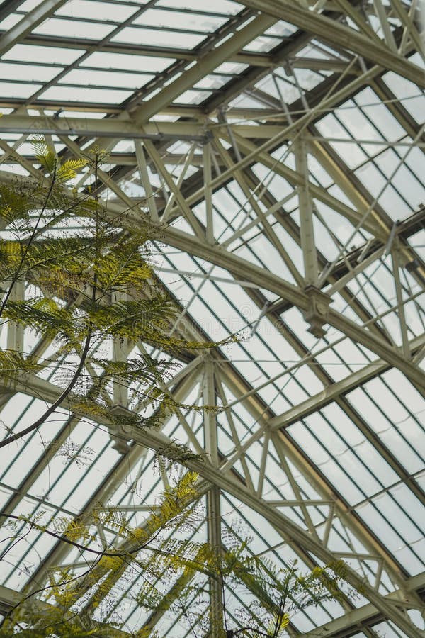 A Tree Growing from the Inside of a Building on a Pole Stock Image ...