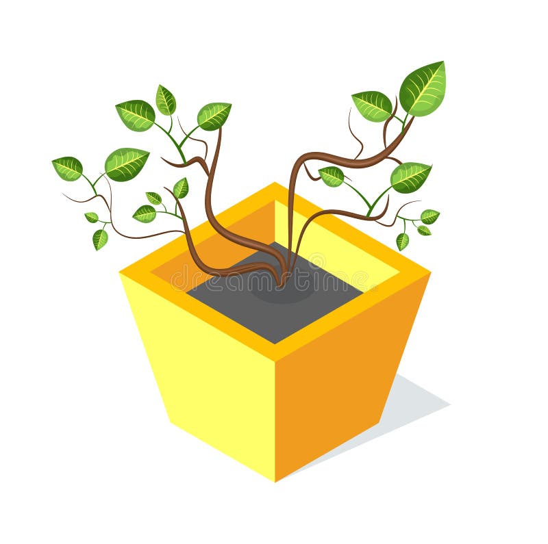 Tree in Square Shape Flower-Pot, Vector Green Leaf Stock Vector ...