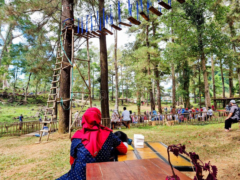 Tree with Stairs To Stepping Forward Editorial Stock Image - Image of ...