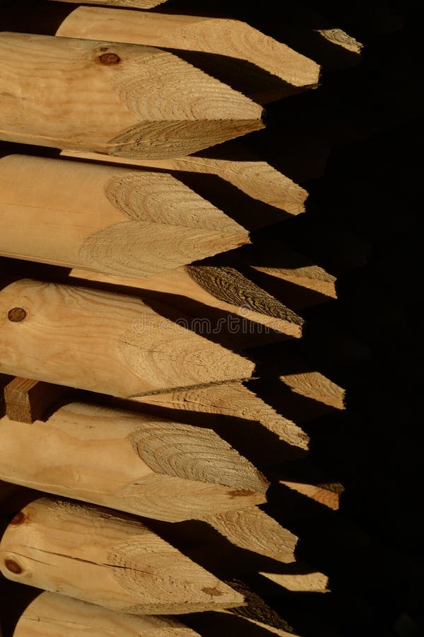 Tree stakes stock image. Image of pointed, backup, garden - 25016433