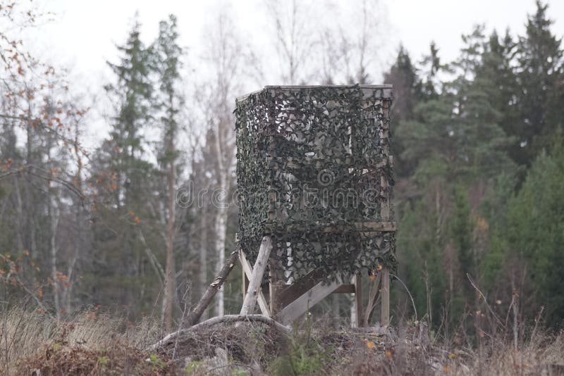 Tree Stand in the Forest during Autumn Stock Image - Image of deer ...