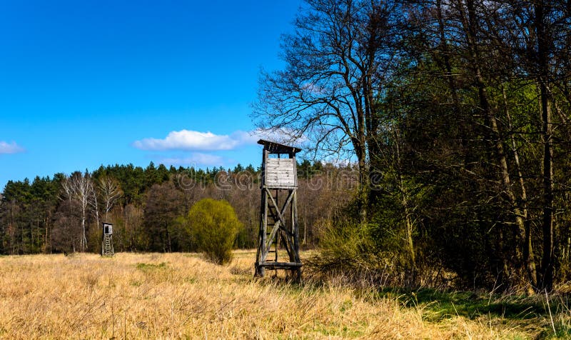 Tree Stand , Open Platforms Used by Hunters Stock Image - Image of ...