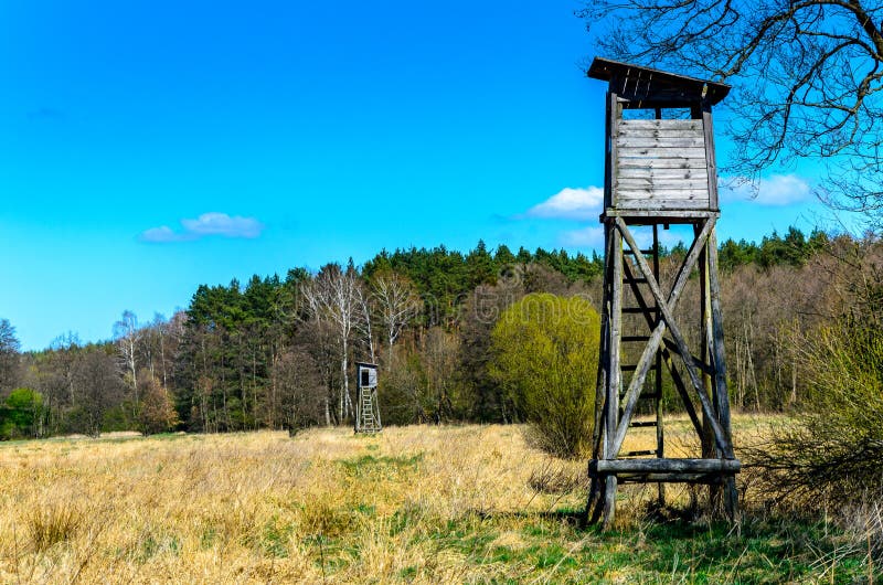 Tree Stand , Open Platforms Used by Hunters Stock Image - Image of ...