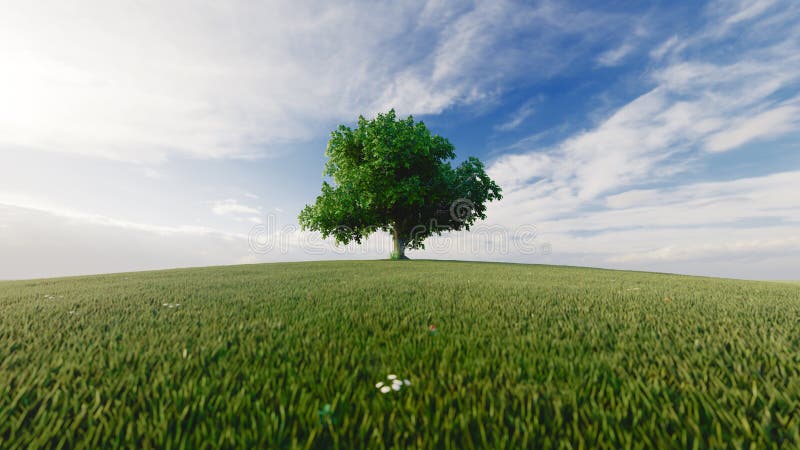 High Resolution. a Tree Standing Alone in a Lawn. 3d Rendering Stock ...