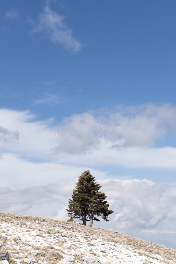 Rocks alone the waterway stock photo. Image of alone - 96721014