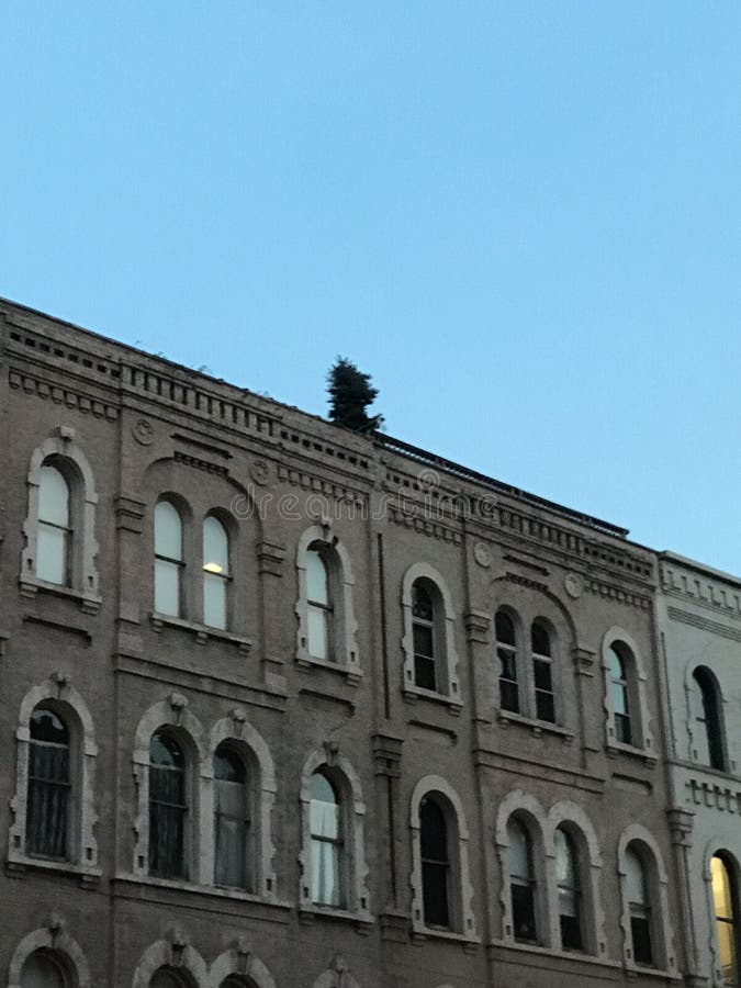 A tree stands alone stock photo. Image of stands, building - 137695214